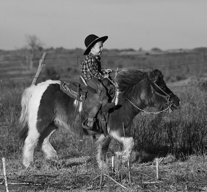 Pro Pony - Western Horseman