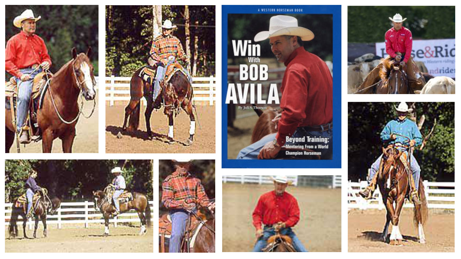 6 Overlooked Training Principles - Western Horseman