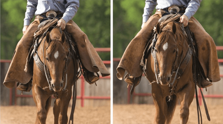 Extend the Walk - Western Horseman