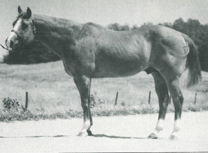 Two Eyed Jack - Western Horseman