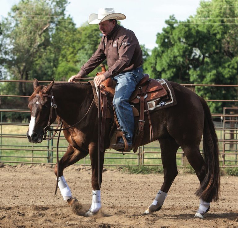 The Big Sweep: Establishing Quick and Correct Turnarounds - Western ...