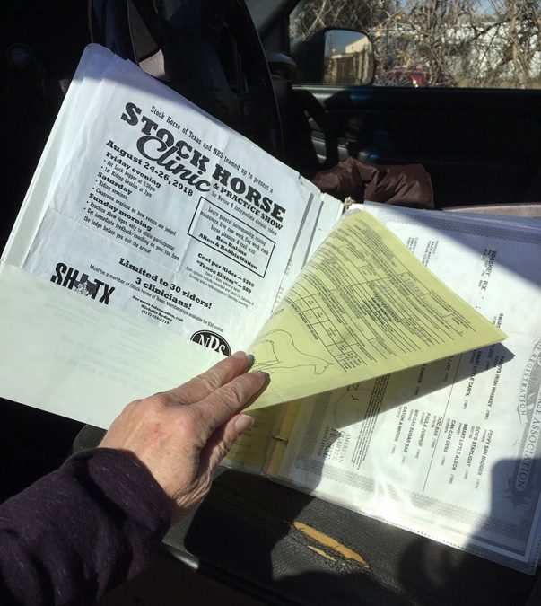4 Easy Ways to Organize Your Horse's Health Papers - Western Horseman