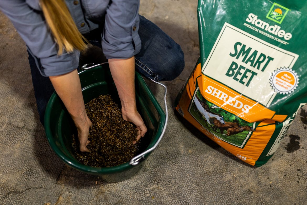 Benefits of Feeding Standlee Premium Smart Beet to Horses - Western ...