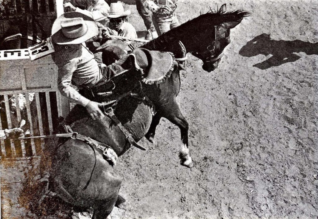 Cheyenne Frontier Days Panorama - Western Horseman