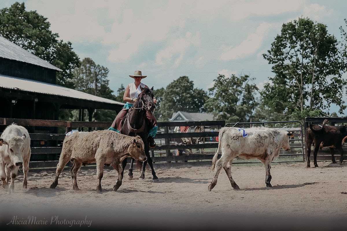 National Day of the Horse: Part 1 - Western Horseman