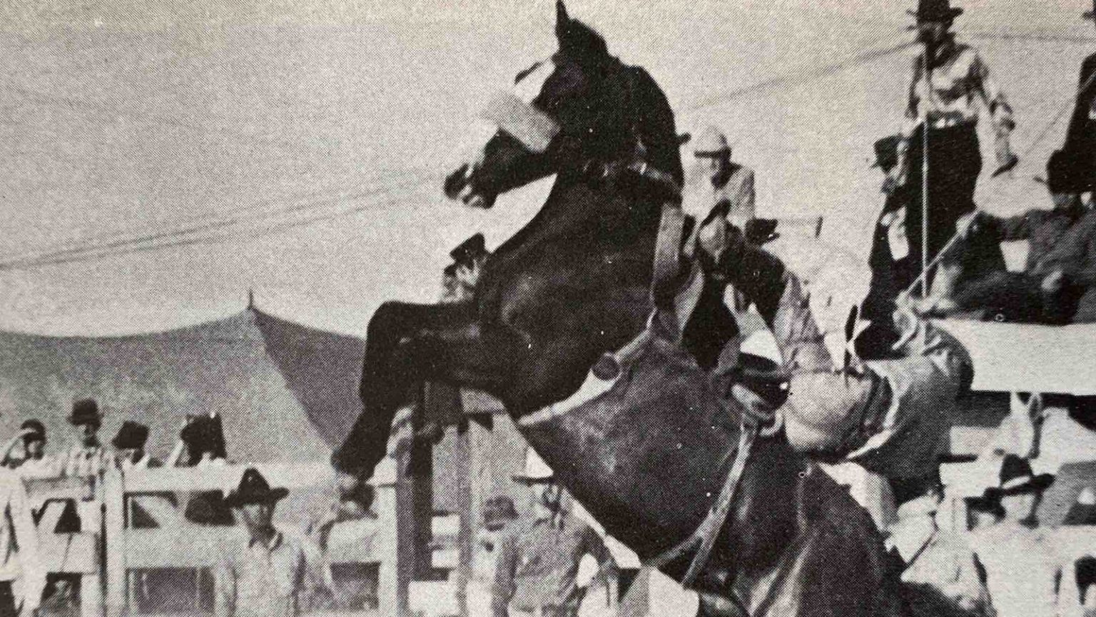 Leo Moomaw and Badger Mountain - Western Horseman