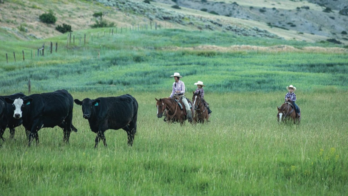 Cowgirl to Consumer - Western Horseman