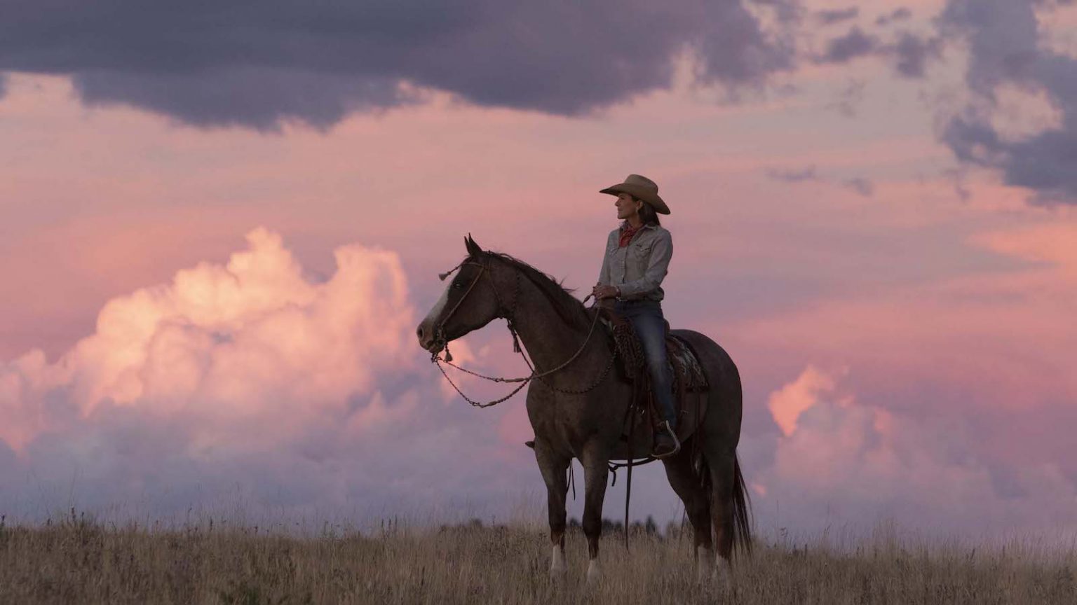 Cheers to the Cowgirl - Western Horseman