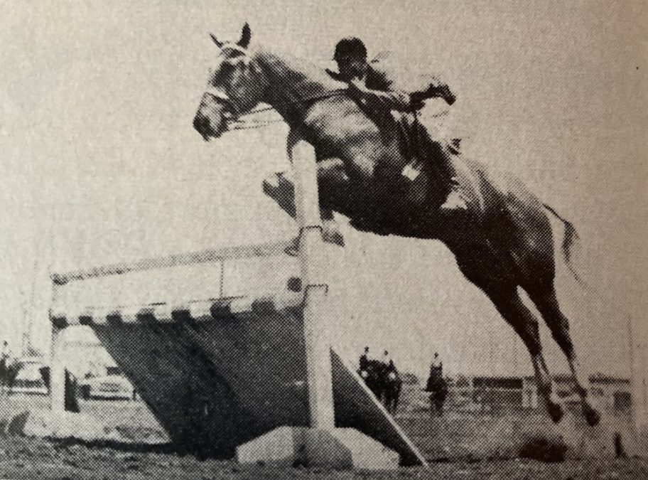 Jumping Quarter Horses - Western Horseman