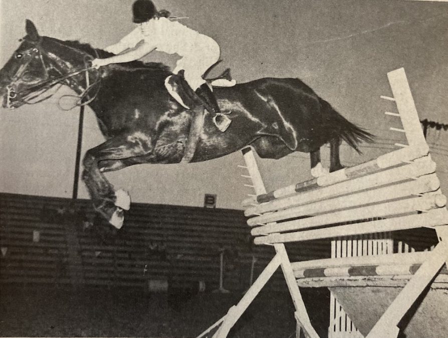 Jumping Quarter Horses - Western Horseman