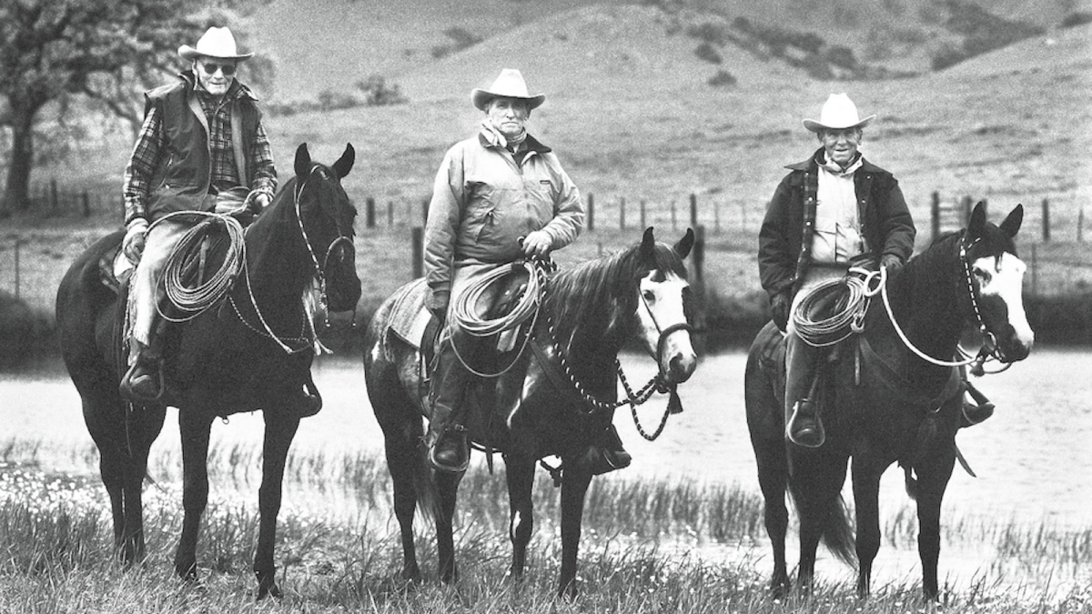 Step Through Time: Tack Through the Decades - Western Horseman