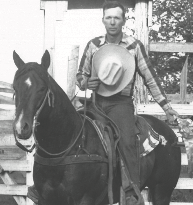 Step Through Time: Tack Through the Decades - Western Horseman