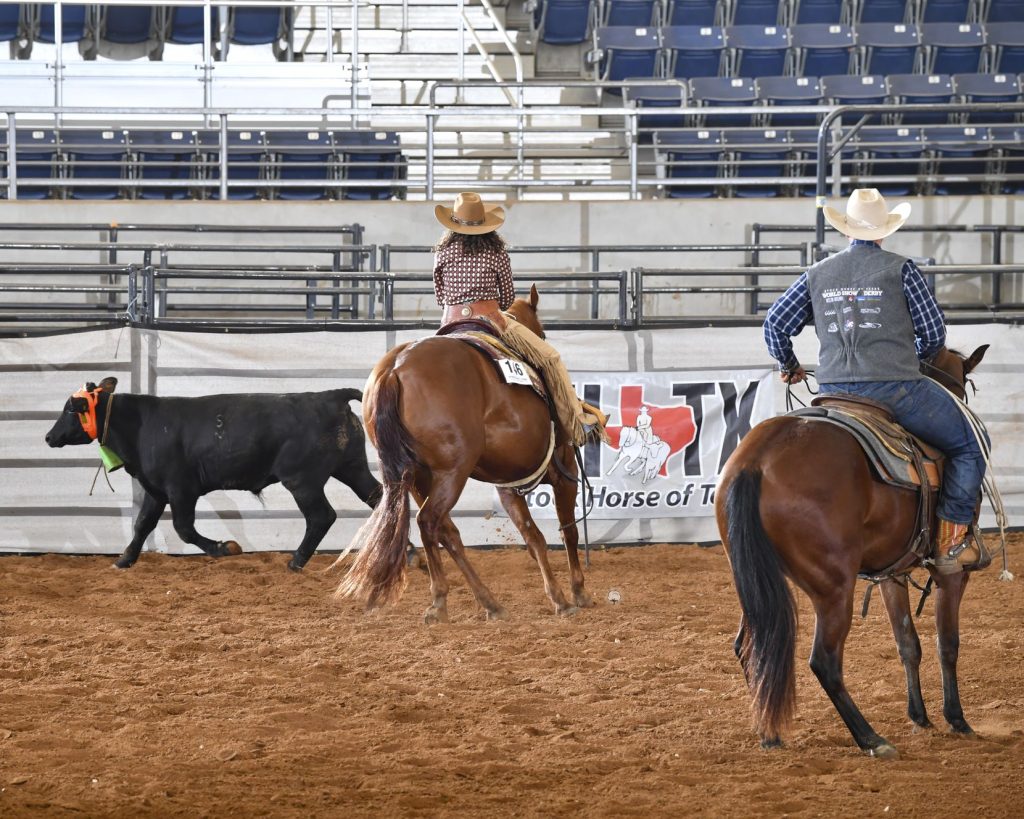 A World Show of Firsts - Western Horseman