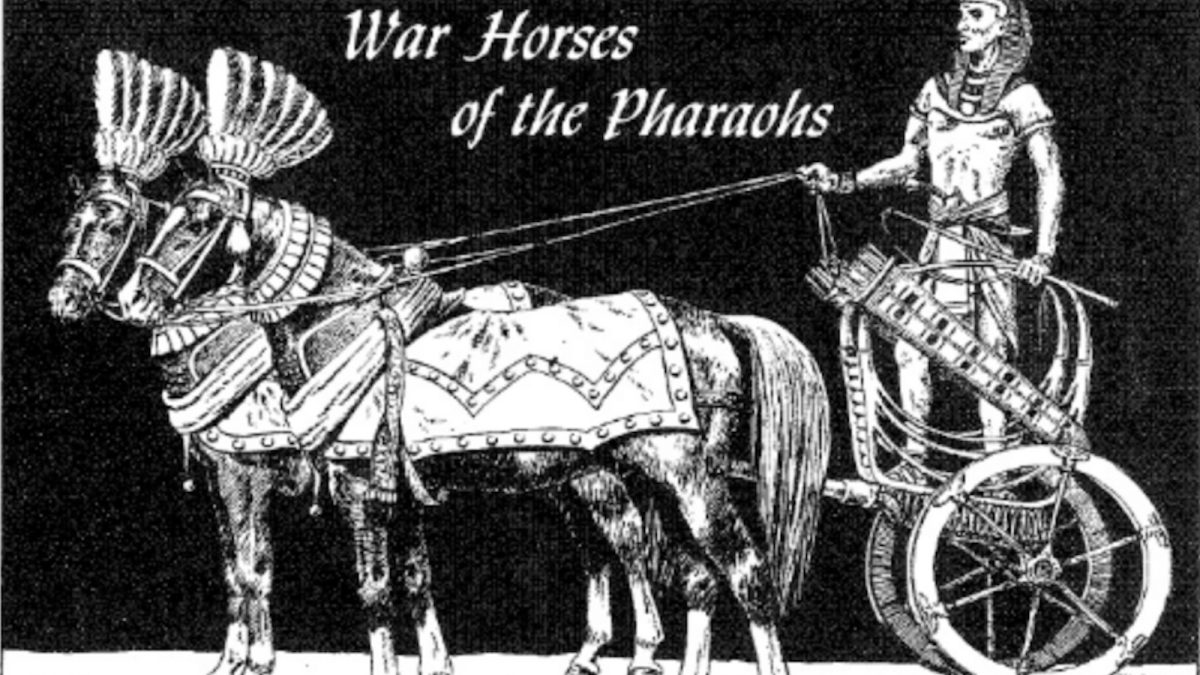 War Horses of the Pharaohs - Western Horseman