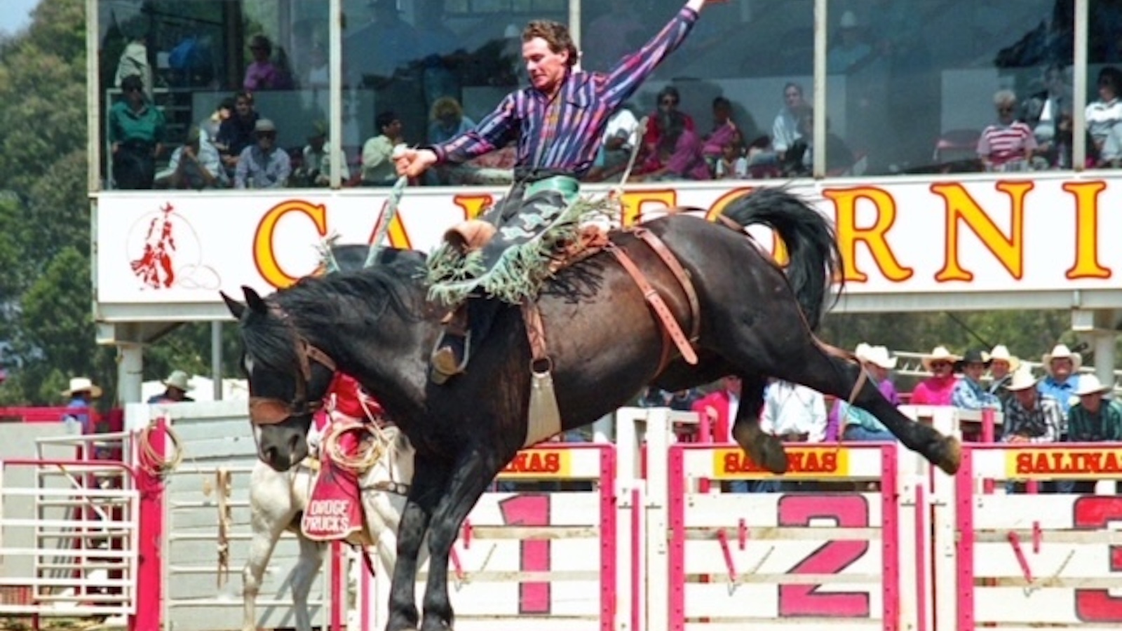 Dave Appleton - Western Horseman