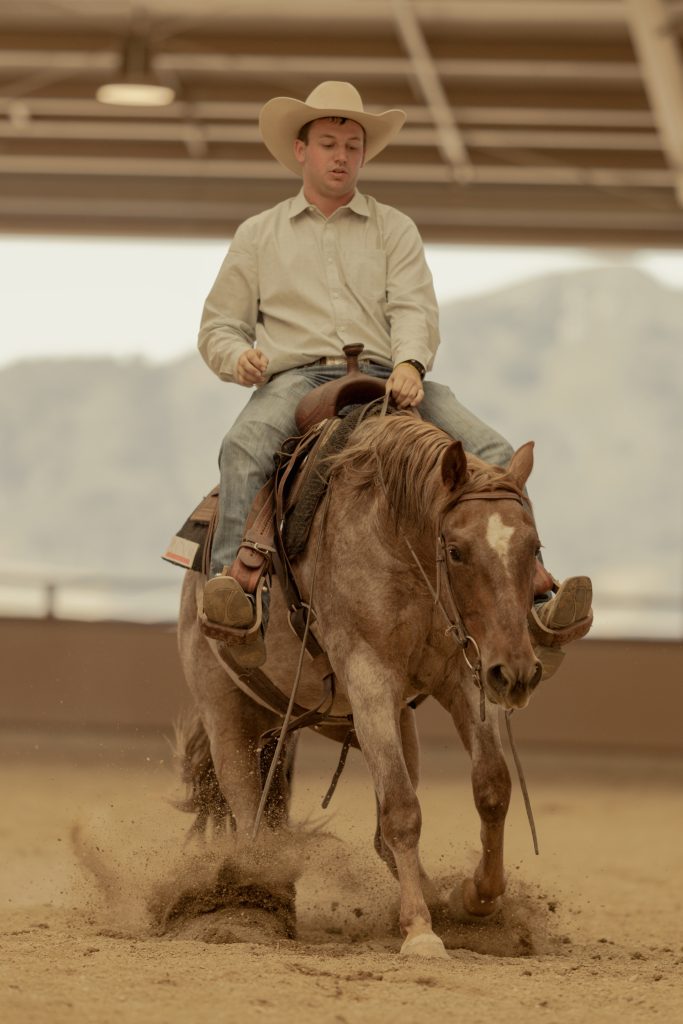 Learn by Doing - Cal Poly Equine Science - Western Horseman