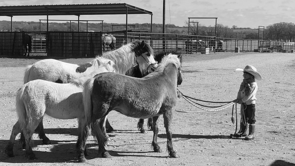 A Western Workflow - Western Horseman