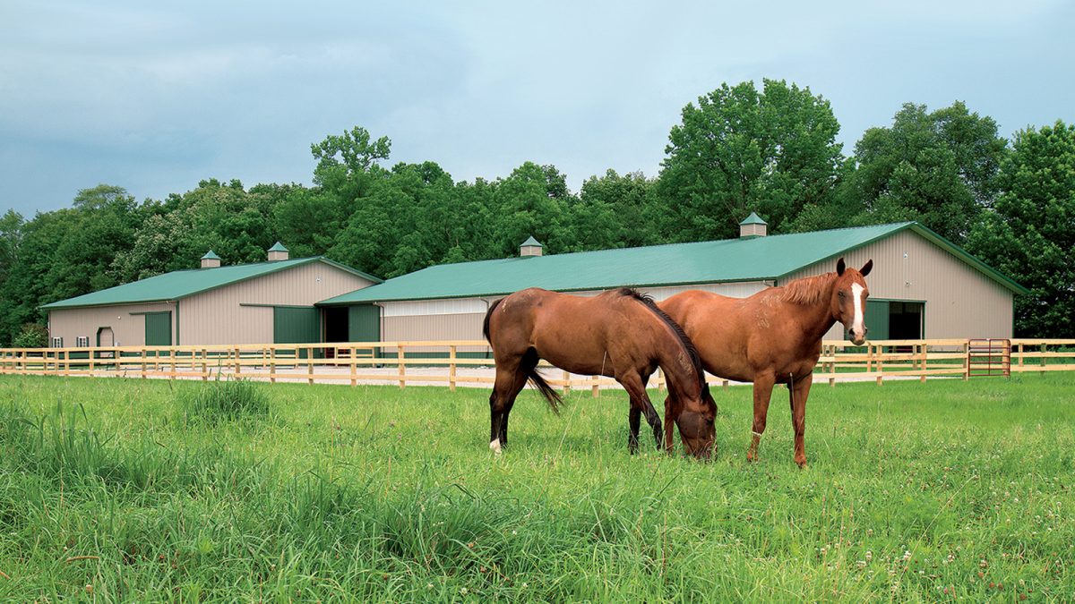 Designing Safe, Functional and Attractive Equestrian Facilities ...