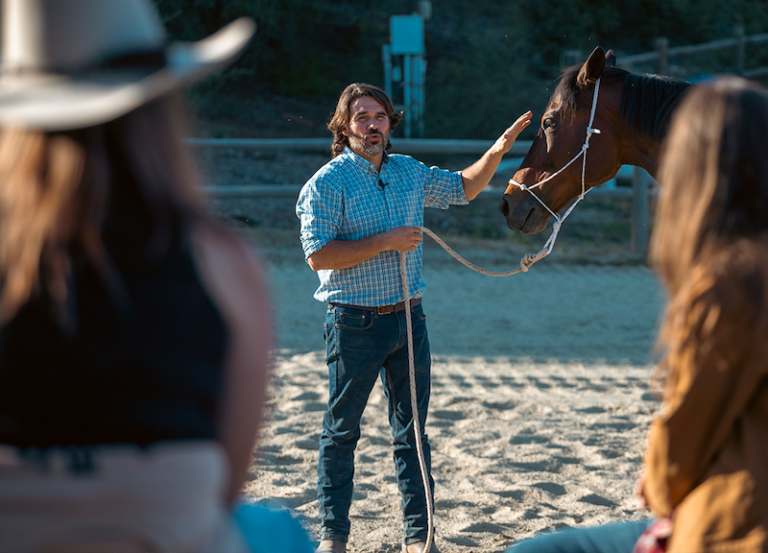 Meet the Road to the Horse 2025 Wild Card Competitor Lineup - Western ...