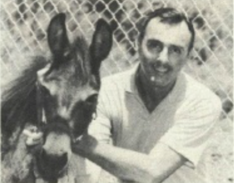 Miniature Mules - Western Horseman
