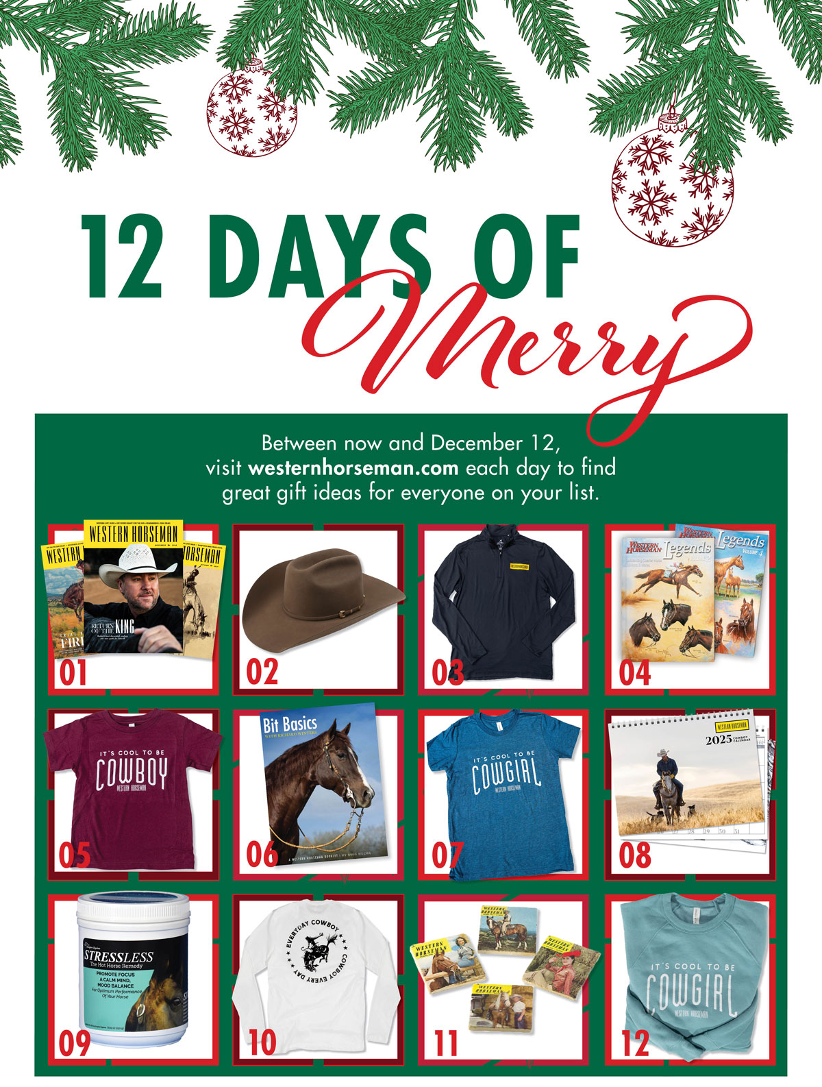12 Days of Merry - Western Horseman