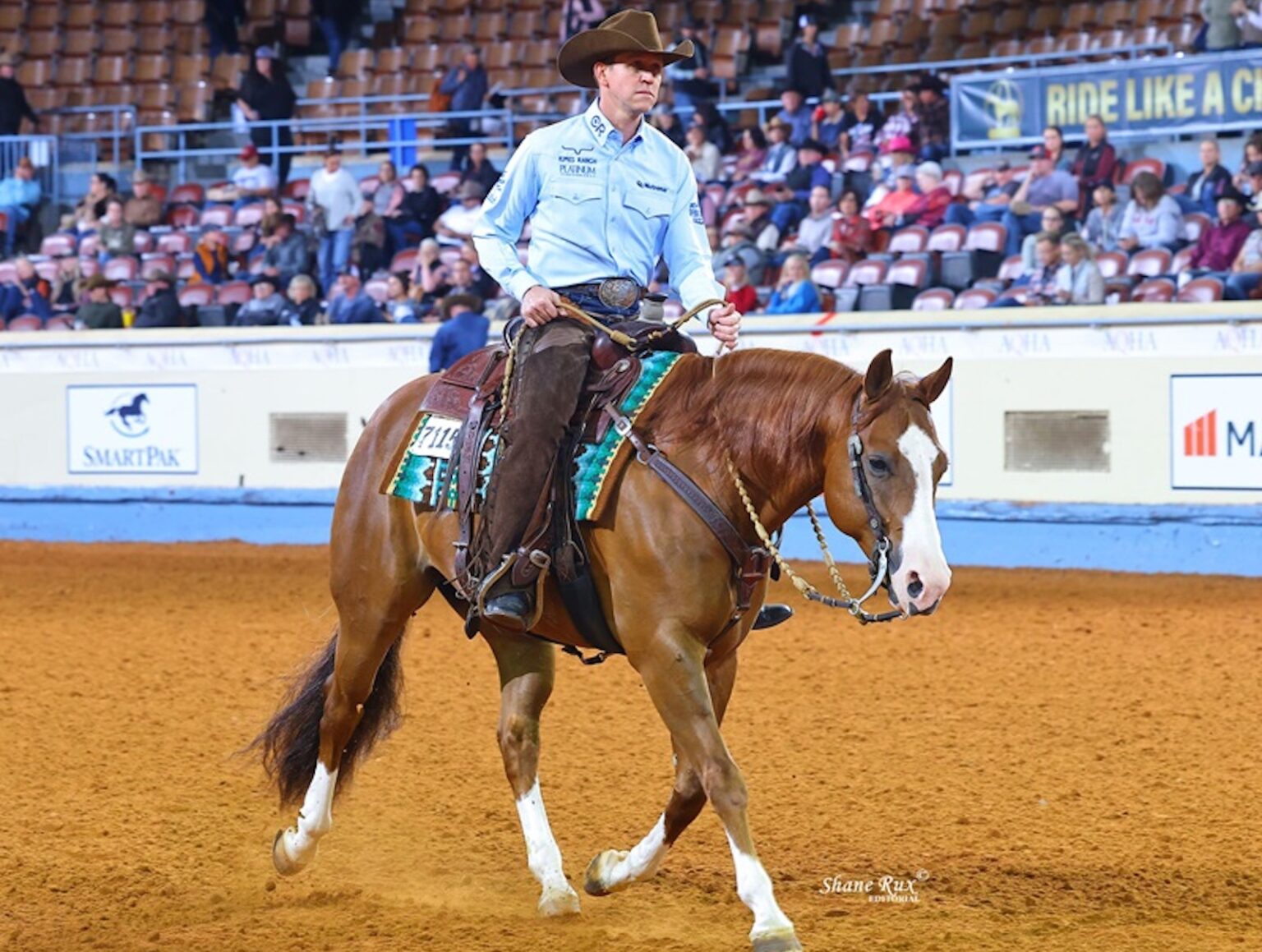 A Look Back at November - Western Horseman
