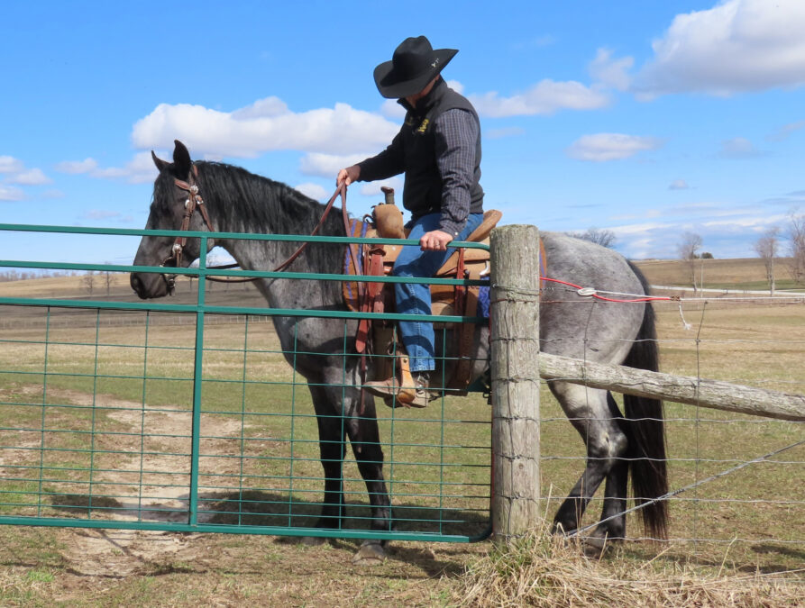 Opening and Closing Gates From Horseback - Western Horseman