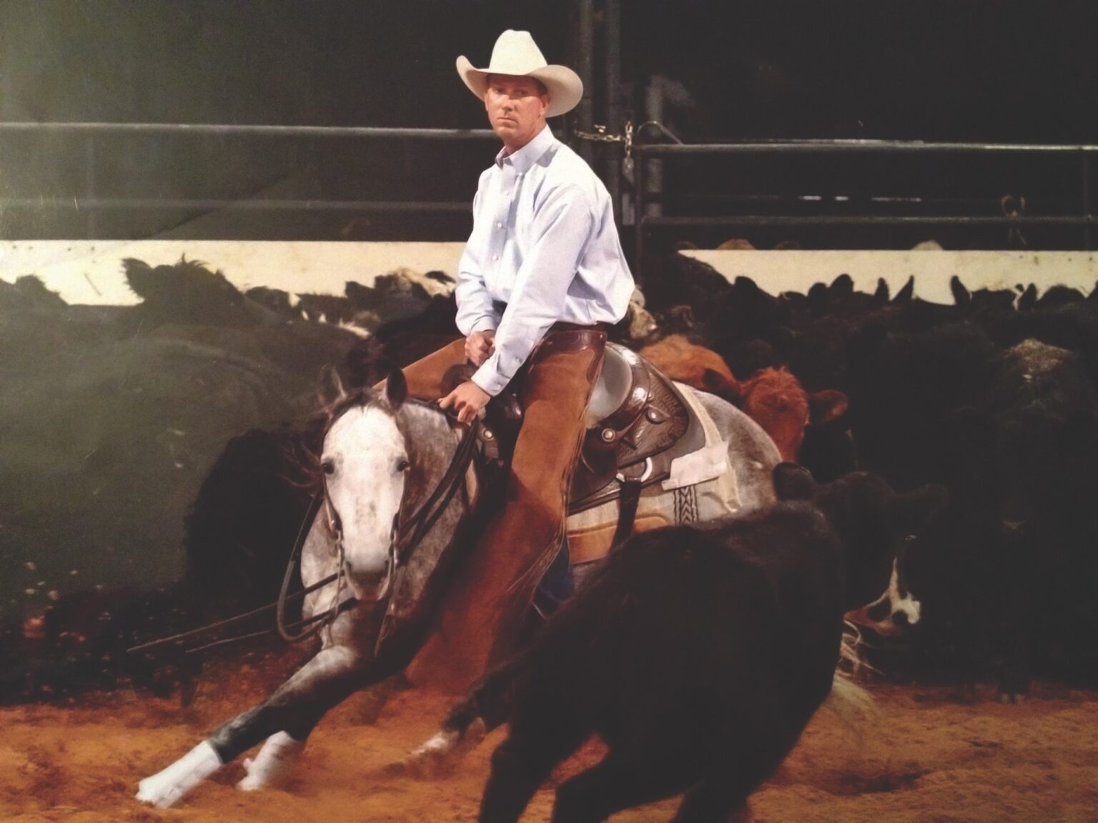 Breeding the Future with the Past in Mind - Western Horseman