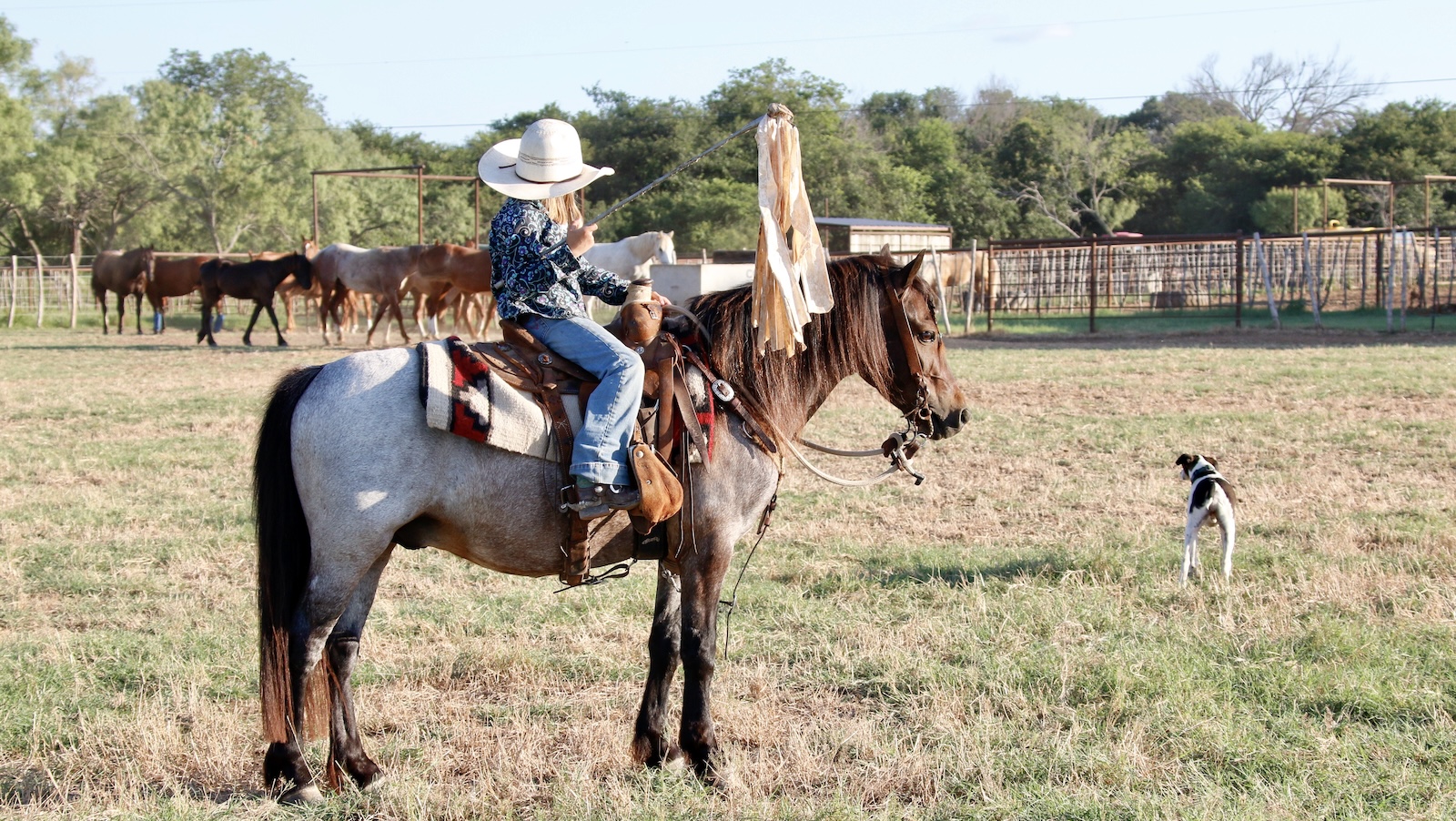 The Next Guy - Western Horseman