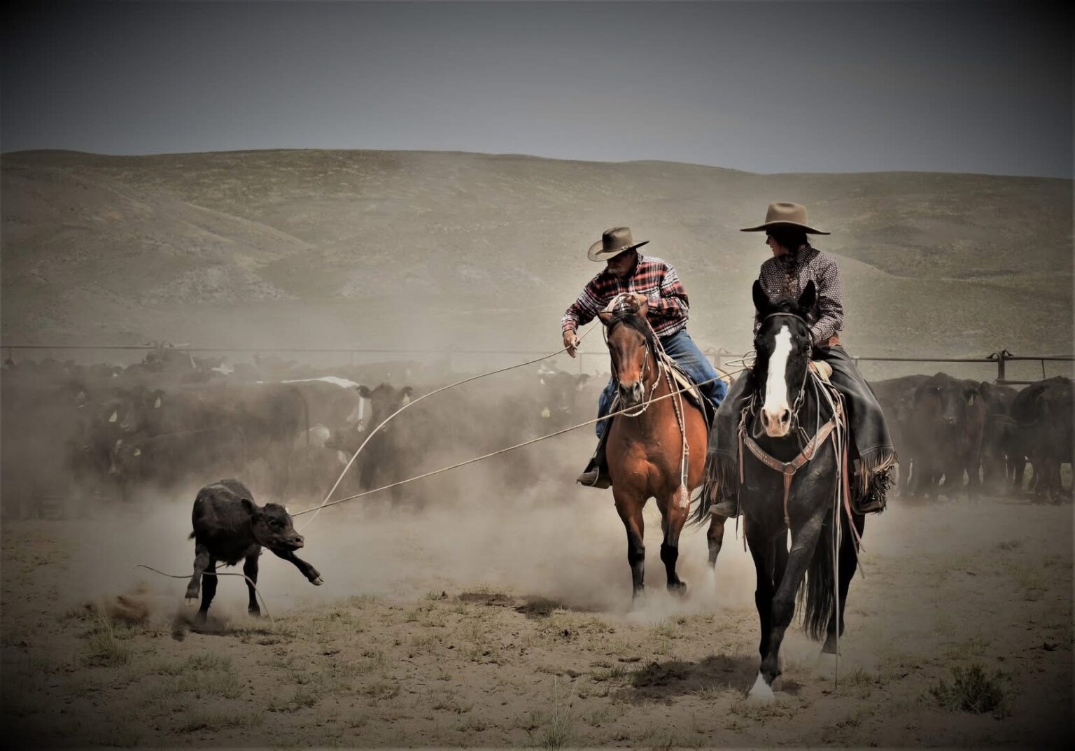 Young Guns: A New Generation of Cowboy Kids Focused on the Future ...