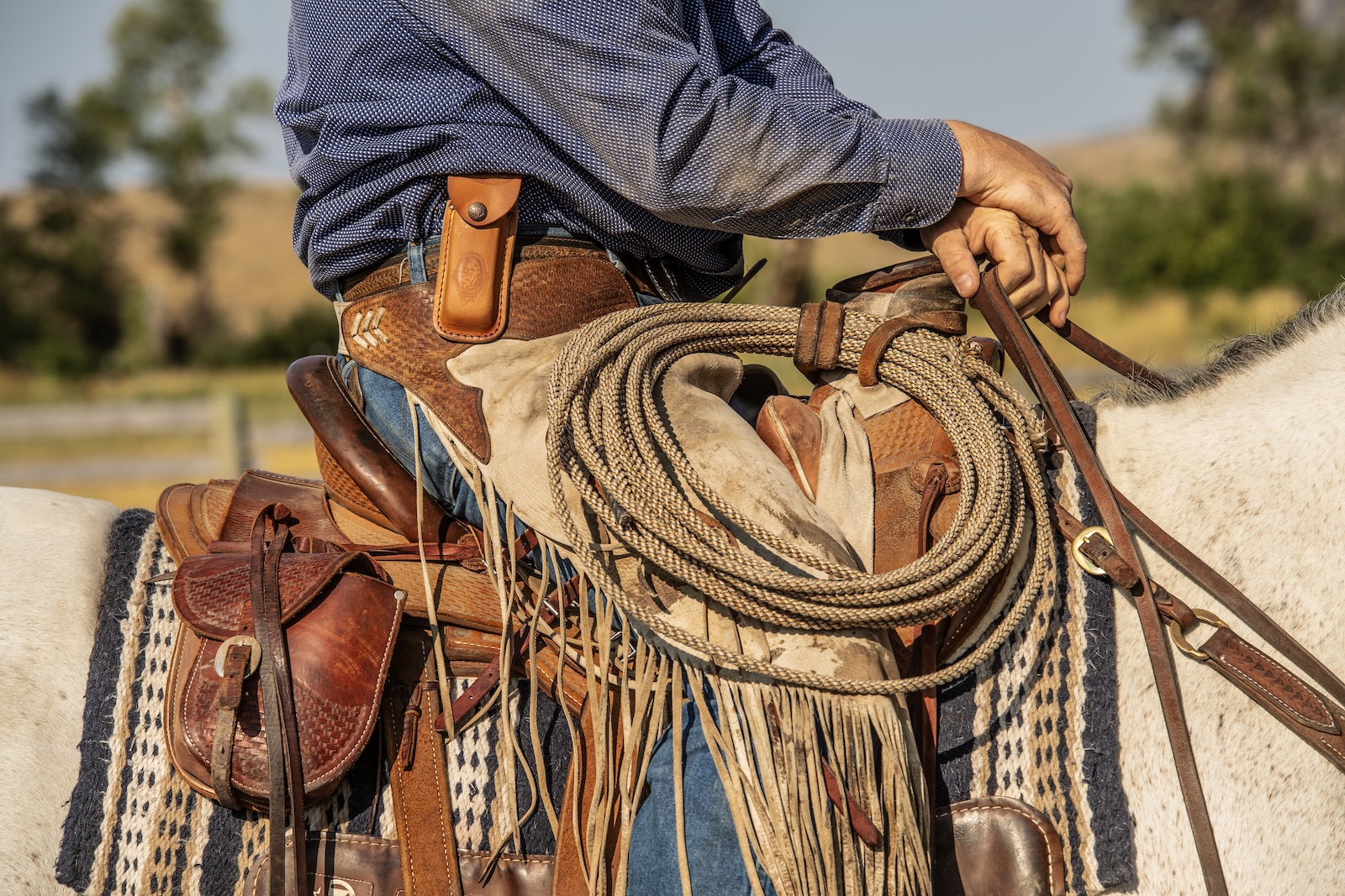 Best Case Scenario - Western Horseman