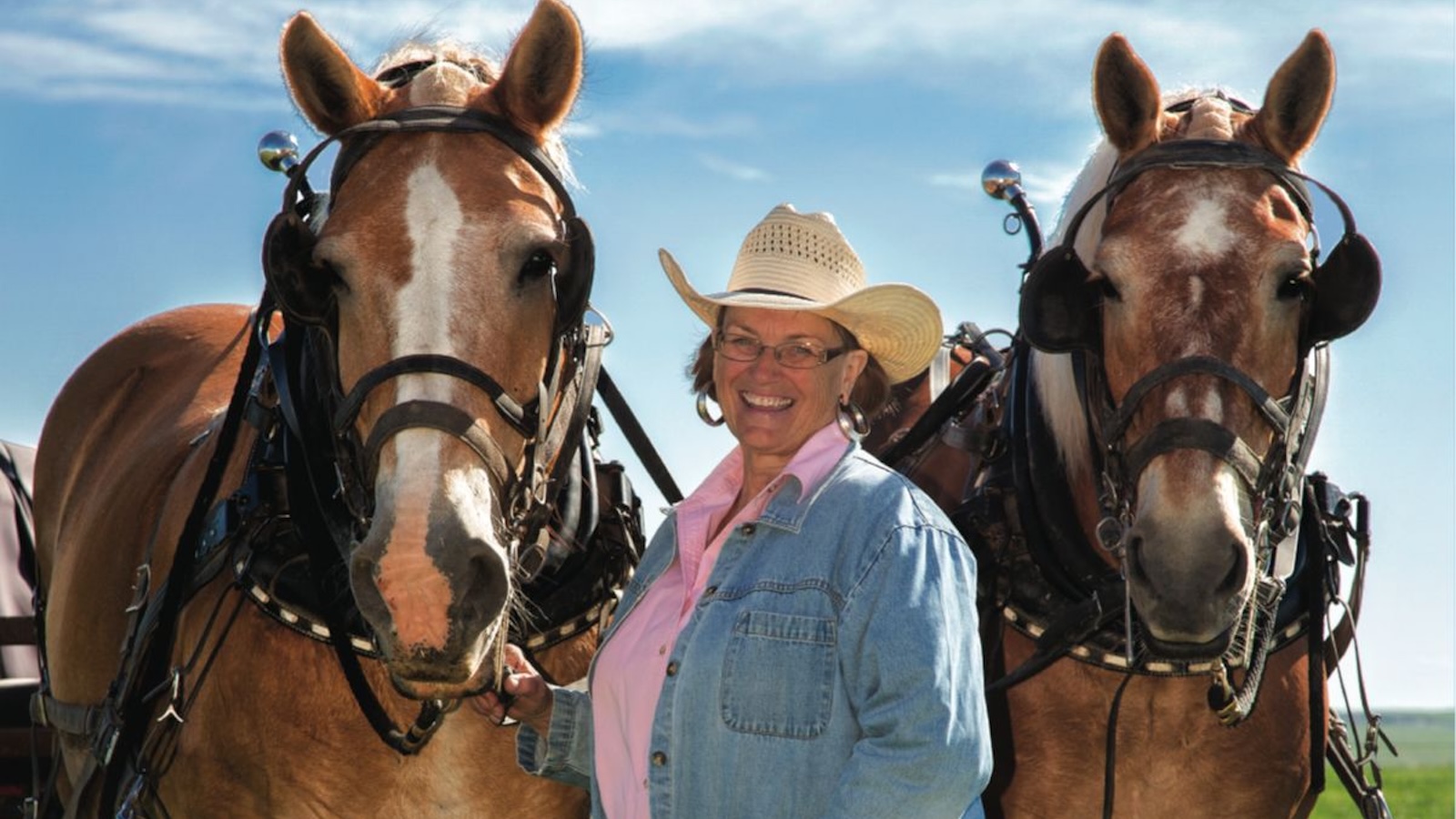 Linda Gilbert - Western Horseman