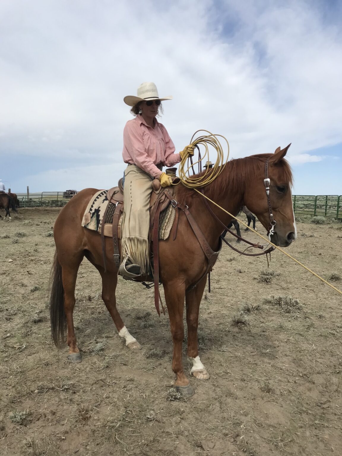 My Heroes Have Always Been Cowboys - Western Horseman